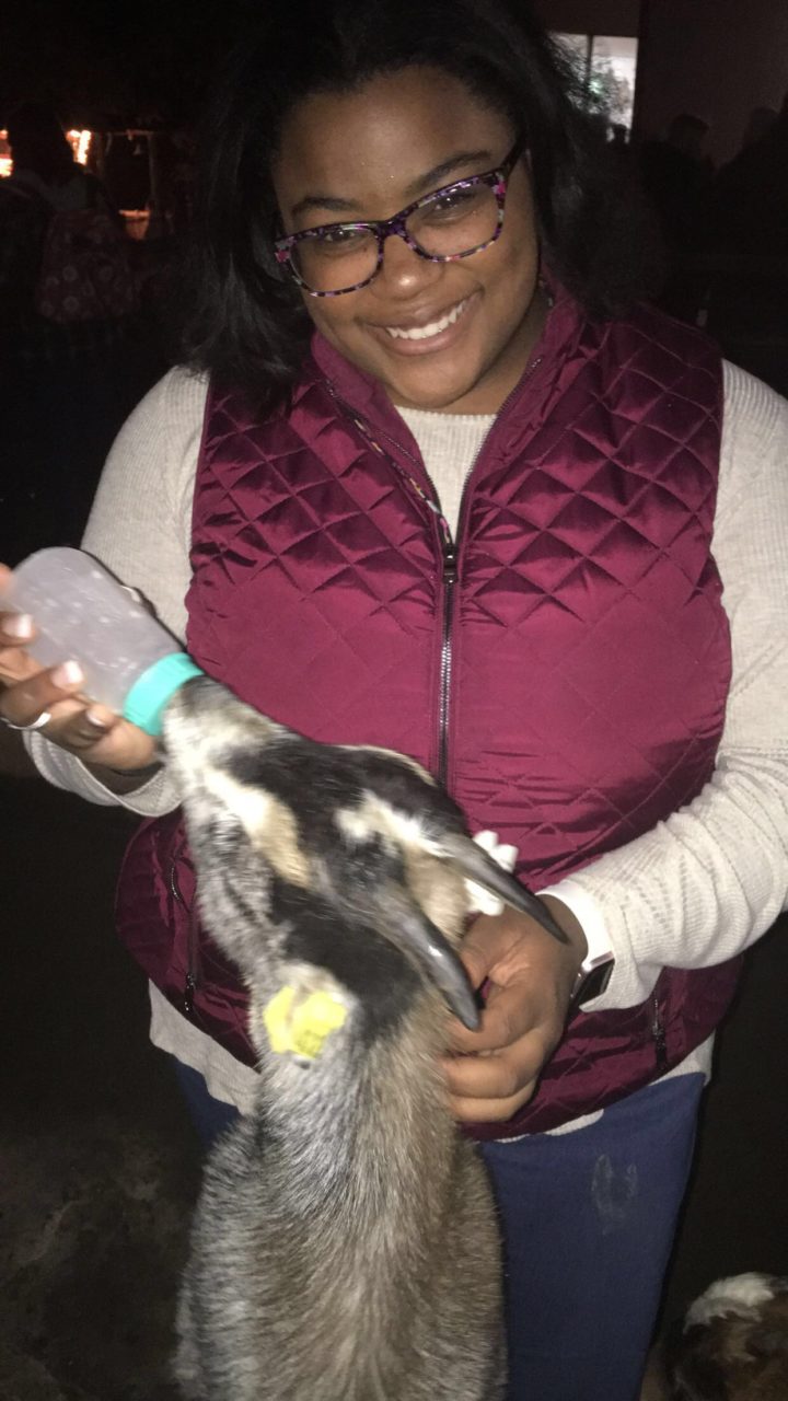 Your Guide to Groceries in College – Maryville Pawprint